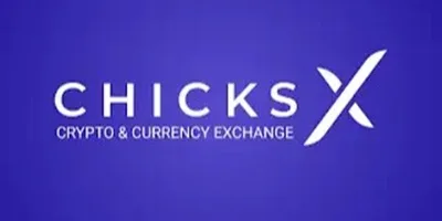 How ChicksX from Canada confidently conquered the EU crypto market ...